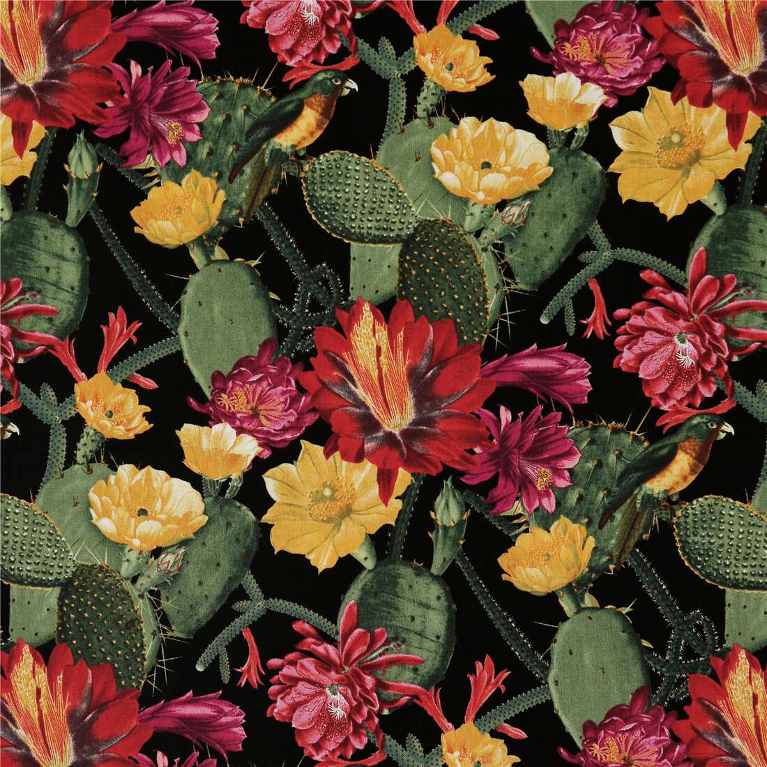 Cactus bloom flower fabric Timeless Treasures black green red Fabric by ...