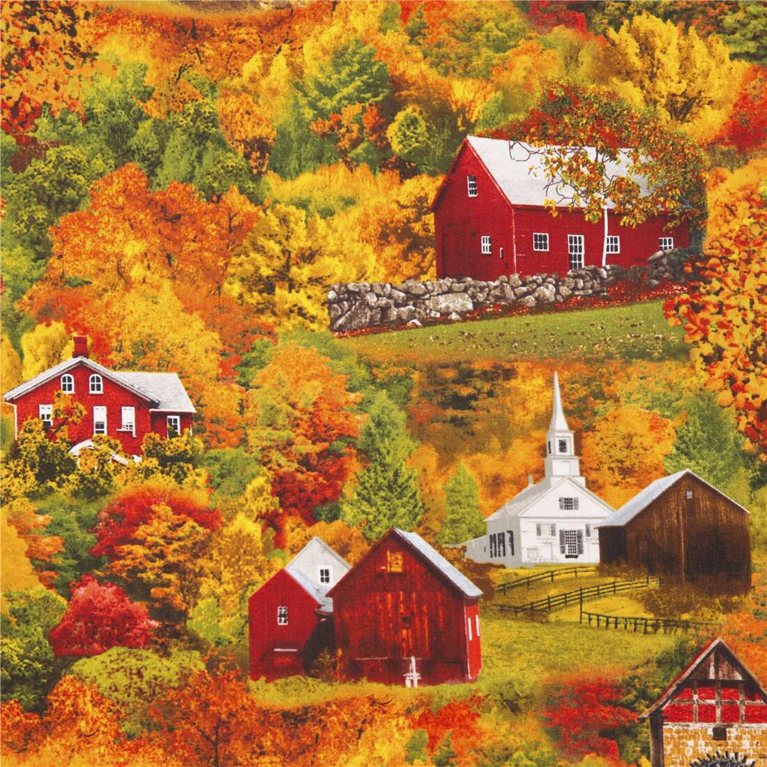 Autumn Barn Scenes