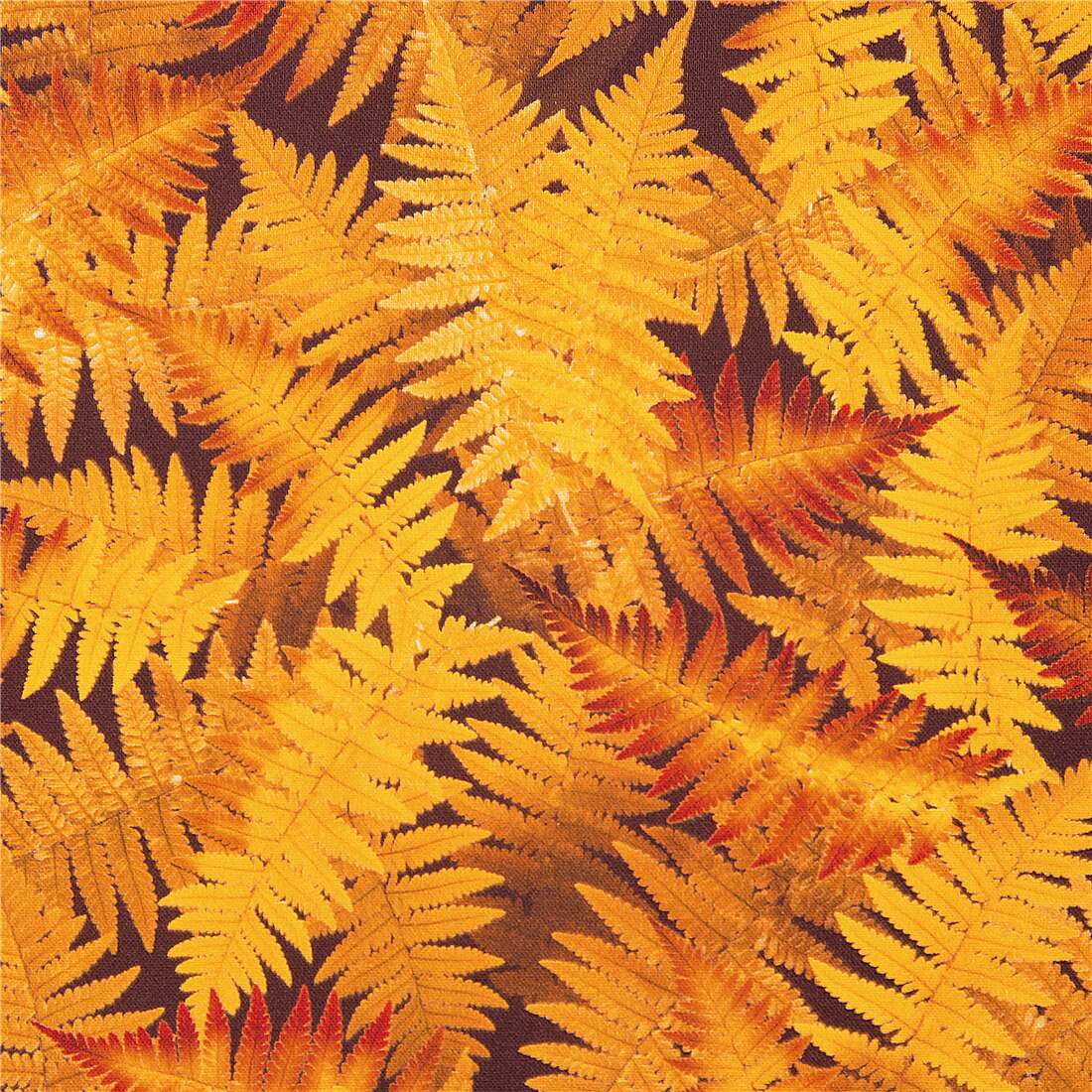 Fern Leaves Small Foliage Autumn Fall Fabric by Quilting Treasures ...