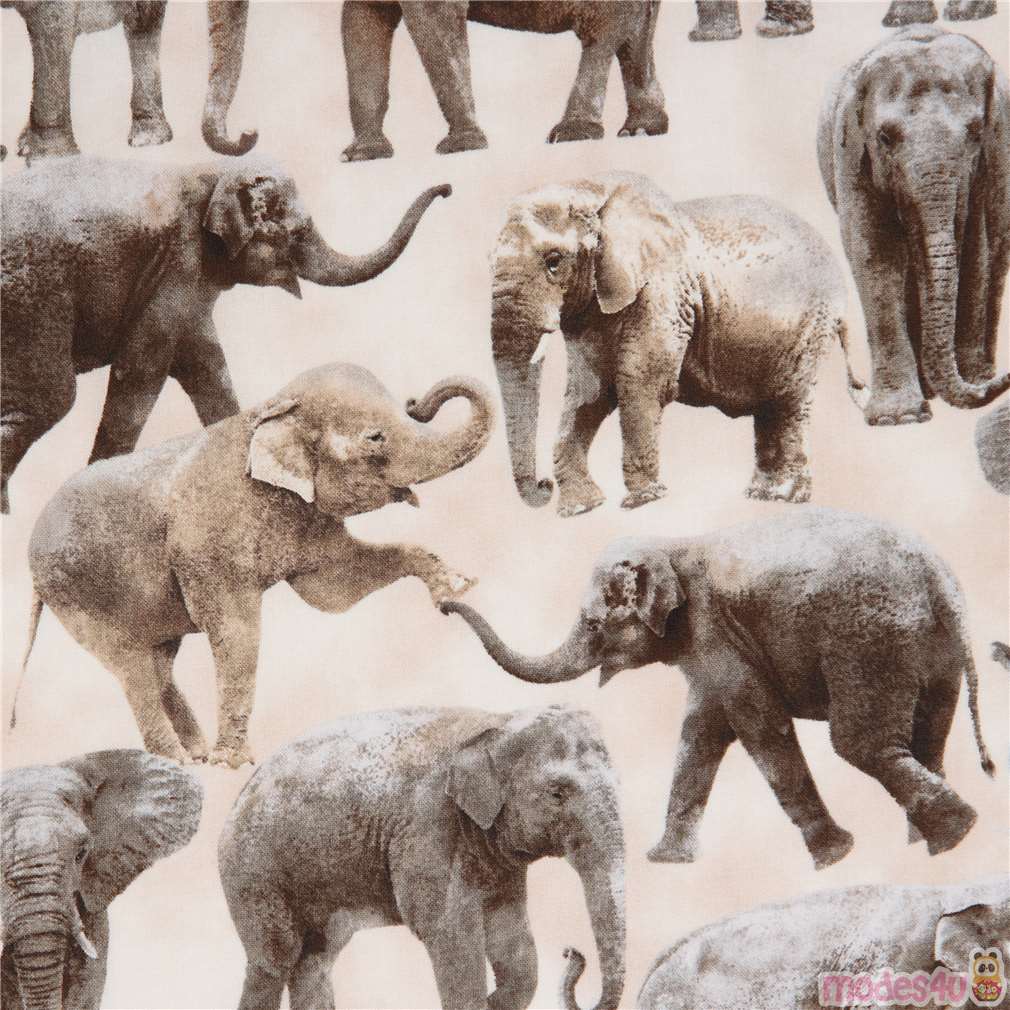 Timeless Treasures beige fabric with elephants Fabric by Timeless ...