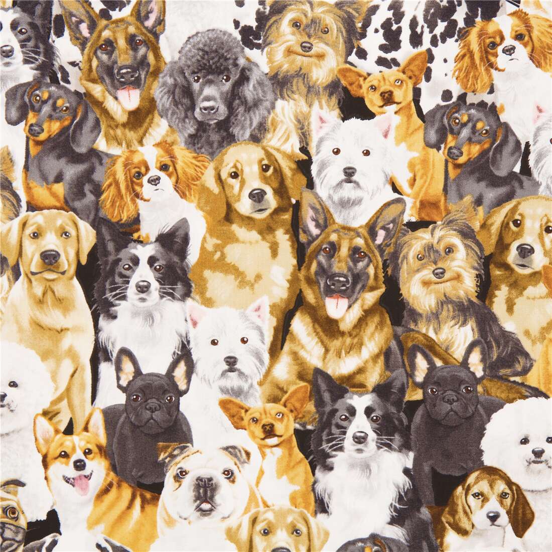 Timeless Treasures Cats And Dogs