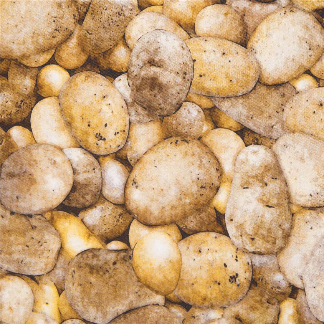 Fresh Collection Potatoes Root Veg Fabric by Quilting Treasures - modes4u