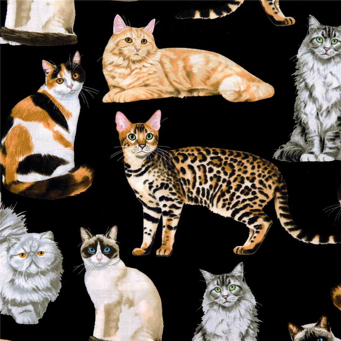 black Timeless Treasures pet cat fabric Fabric by Timeless Treasures ...