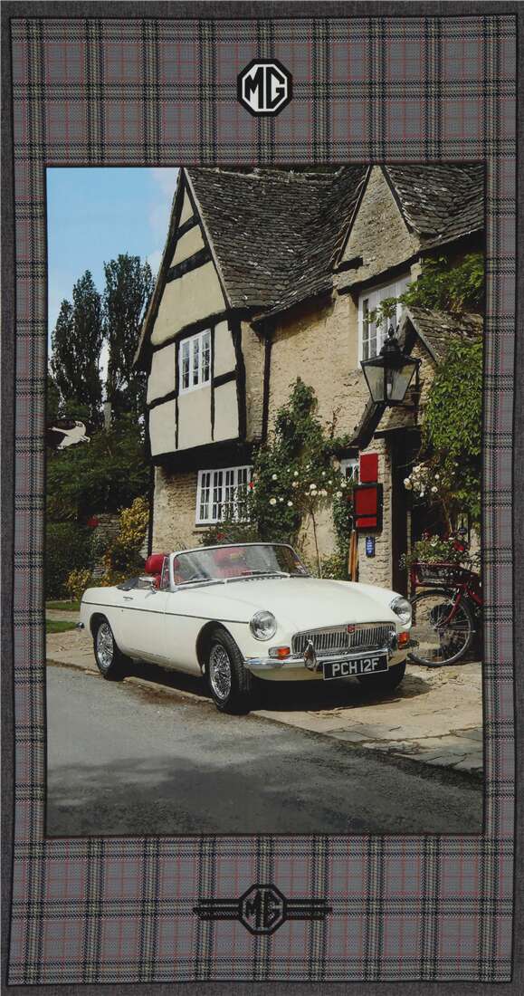 MG Collection Checkered Retro Car Fabric by Michael Miller - modes4u