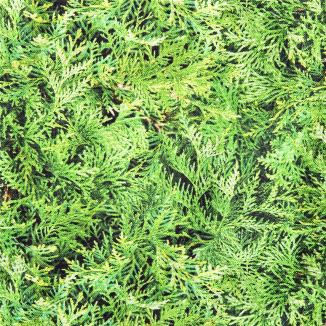 Evergreen Leaves Lush Foliage Fabric by Elizabeth's Studio - modes4u