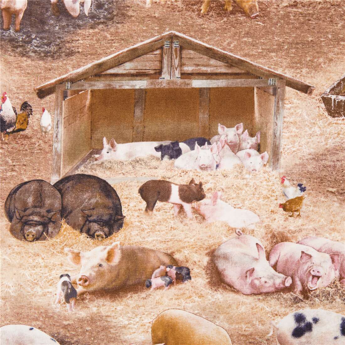 pigs and hogs cotton fabric with piglets in brown straw pig pen ...