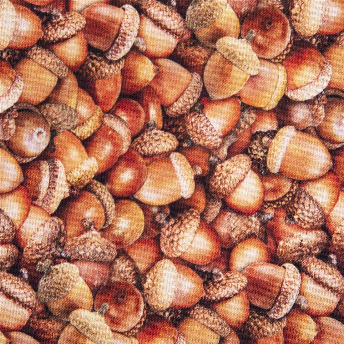produce themed nuts packed USA fabric acorns brown by Elizabeths Studio ...