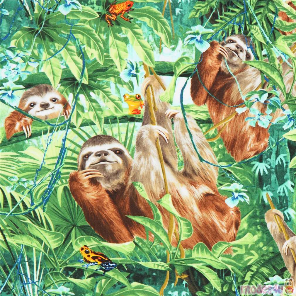 sloth fabric by Timeless Treasures Fabric by Timeless Treasures - modes4u