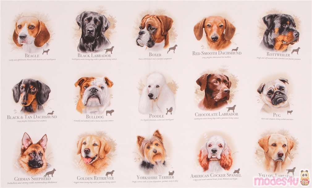 white cute dogs Dog Breeds fabric by Elizabeth's Studio Fabric by ...