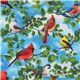 blue Timeless Treasures fabric with colorful birds Fabric by Timeless ...