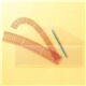 curve ruler set with mini ruler by Clover - modes4u