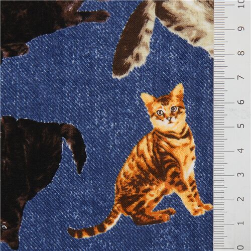 Robert Kaufman denim blue tossed cat fabric - modeS4u