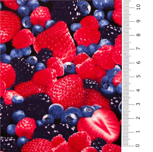 berry fruit fabric by Timeless Treasures from the USA - modeS4u