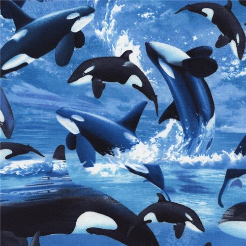 blue fabric with killer whale orca by Timeless Treasures Fabric by ...