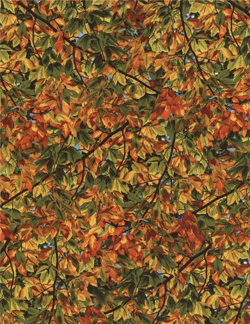 colorful Autumn leaf design fabric Timeless Treasures Fabric by ...