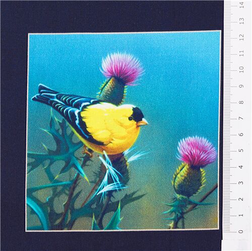 colourful panel patches wild Cardinal bird fabric by QT Fabrics - modeS4u