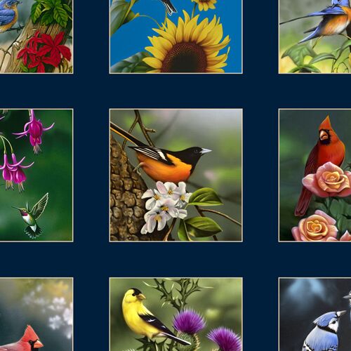 colourful panel patches wild Cardinal bird fabric by QT Fabrics - modeS4u