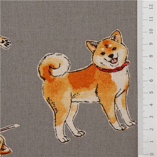 Grey Shiba Inu