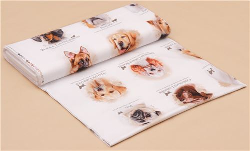 white cute dogs Dog Breeds fabric by Elizabeth's Studio - modeS4u
